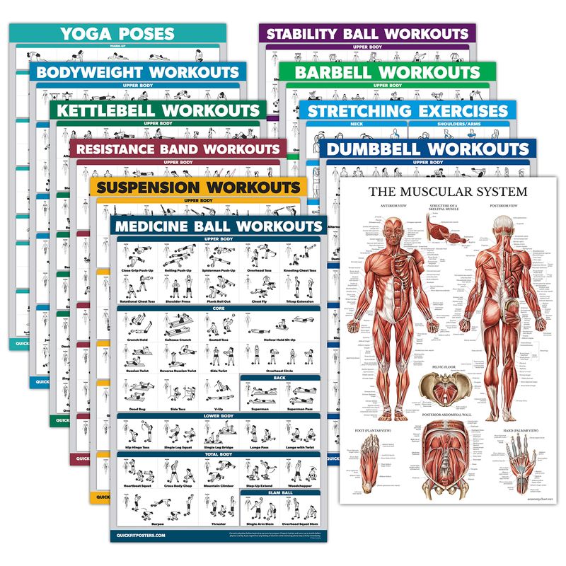 11 Pack - Exercise Poster Set: Dumbbell, Suspension, Kettlebell ...