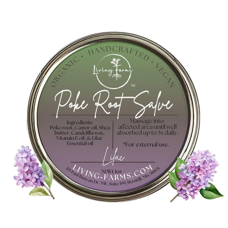 Organic Poke Root Castor Oil Salve | Vegan Lymphatic Support | Enriched ...