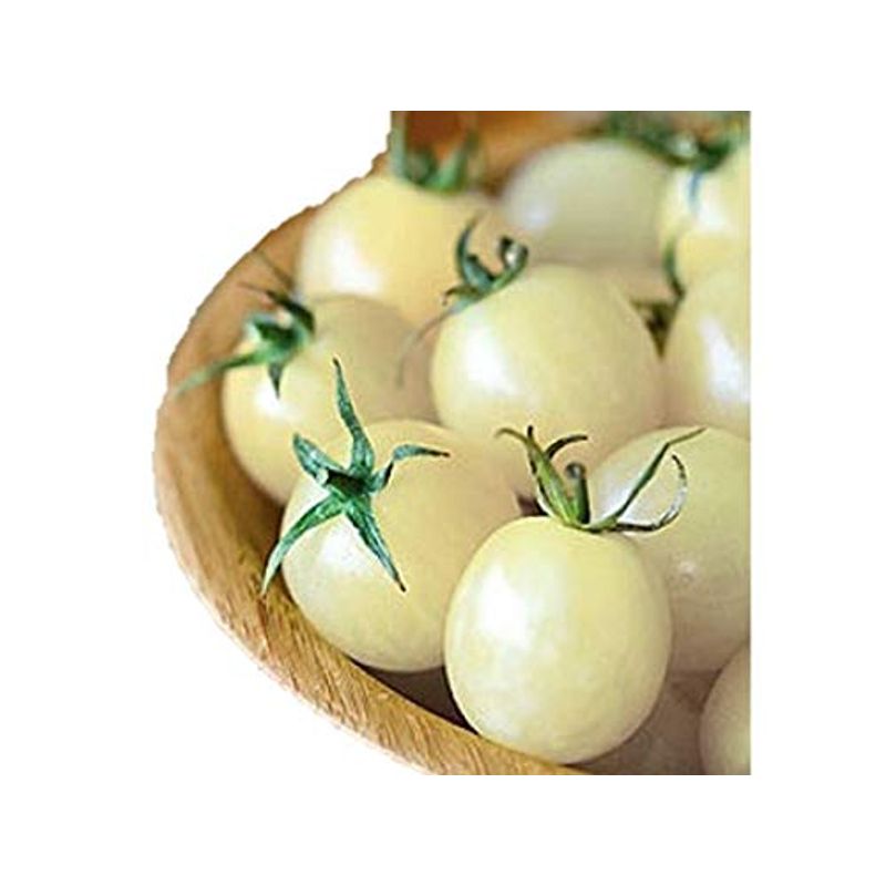 Cream Cherry Mini Tomato Seeds, 6 Tablets - Online Marketplace ...