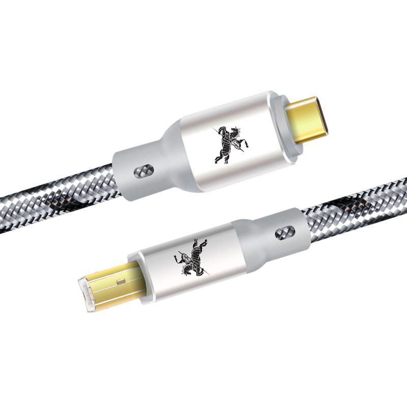Impeto Audiophiles USB B to USB C Printer Cable Type C to Type B 2.0 ...