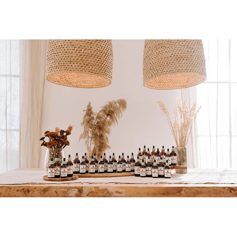 Hawaii Pharm Europe Dream Herb (Calea Zacatechichi) Powdered Leaf and ...