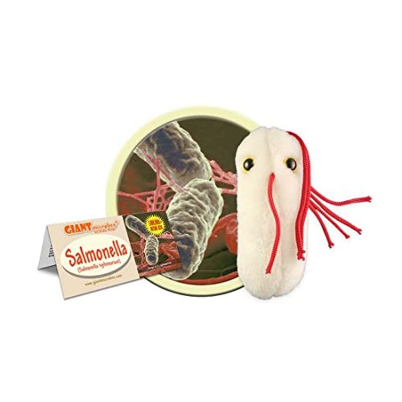 GIANTmicrobes Salmonella Plush -Learn About Food Safety, Bacteria and ...