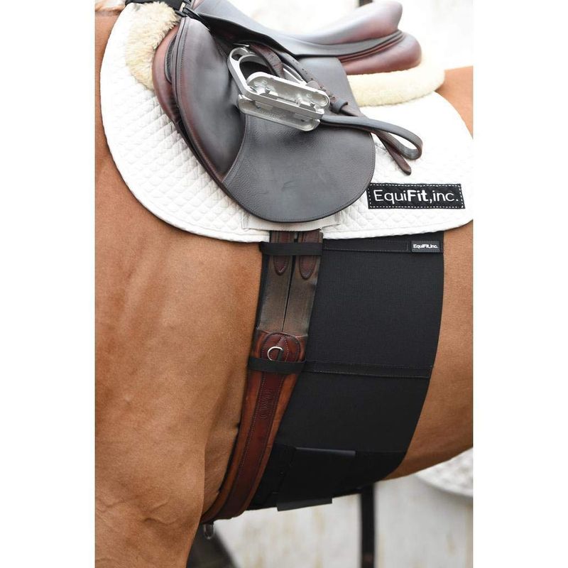EquiFit Belly Band for Spur Protection Horse - EveryMarket