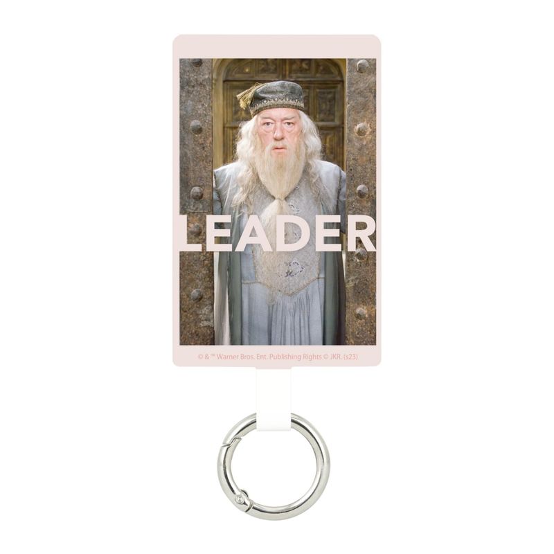Gourmandies Harry Potter Multi Ring Plus Large Albus Dumbledore HP-77C ...