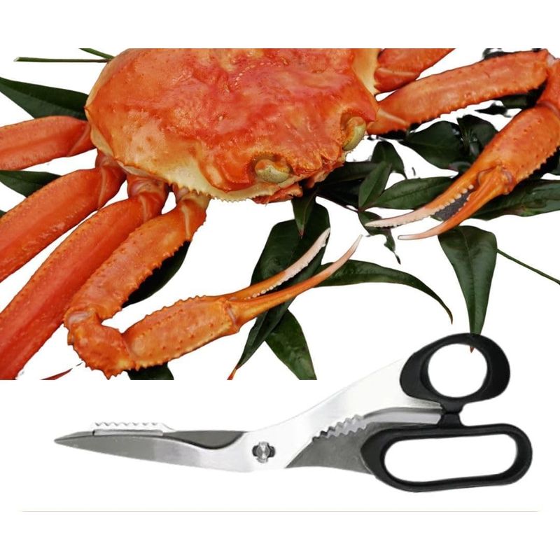 Crab Scissors Easily Cuts Hard Shells - Online Marketplace - EveryMarket