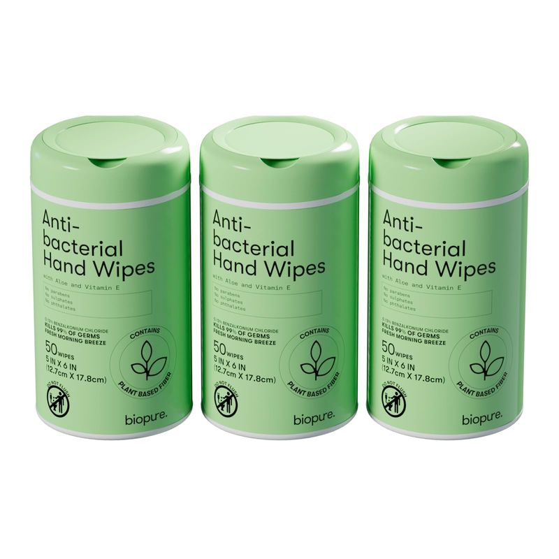 Biopure Antibacterial Hand Wipes | Fresh Morning Breeze- Antibacterial ...