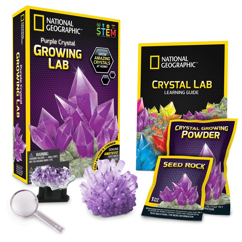 NATIONAL GEOGRAPHIC Purple Crystal Growing Lab - DIY Crystal Creation ...