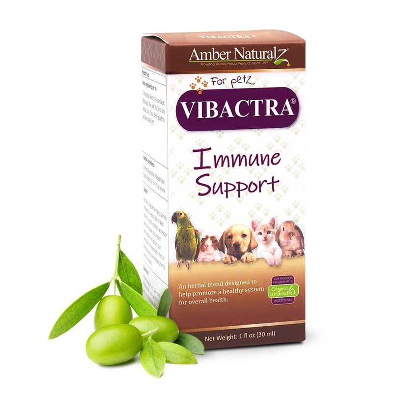 Amber Naturalz Vibactra Immune Support- an antioxadant enriched Formula ...