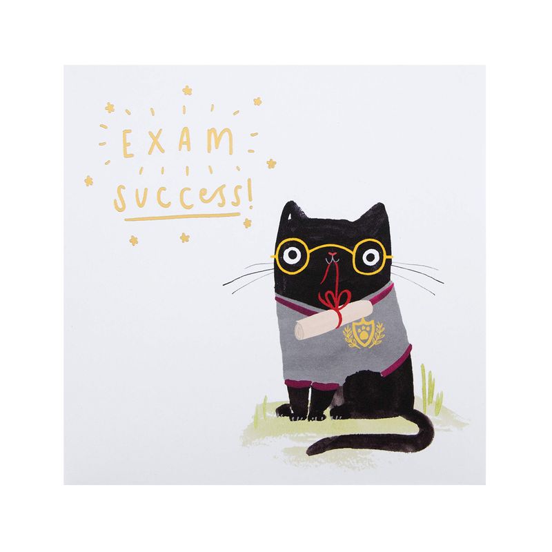 Hallmark Exam Success Congratulations Card - Cute Illustrated Cat ...