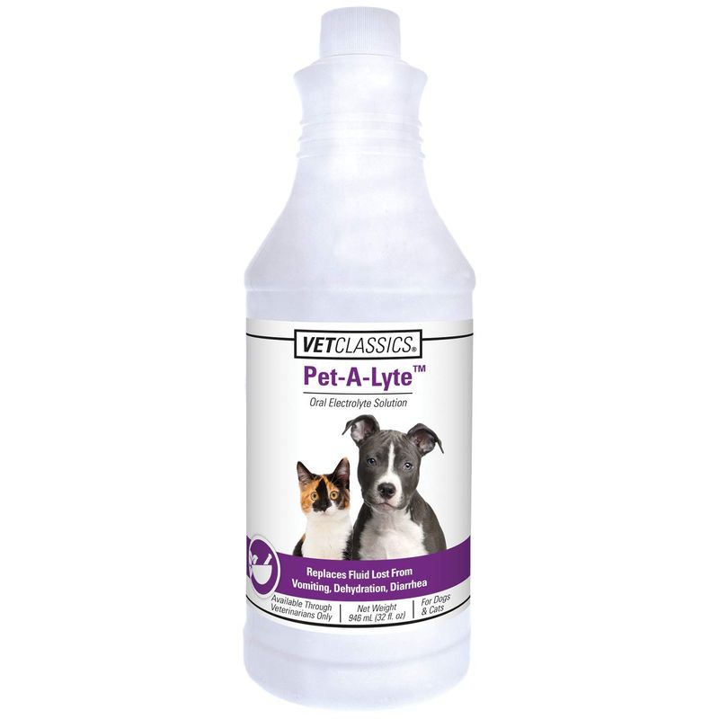 Vet Classics Pet-A-Lyte Oral Electrolyte Solution for Dogs and Cats ...