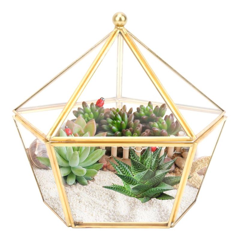 Jenngaoo Mini Glass Geometric Terrarium, 6.3inch Air Plant Holder Window Sill Decor Shelf, Glass ...