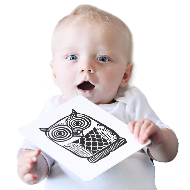 Wee Gallery Black and White Art Flash Cards for Babies, High Contrast ...