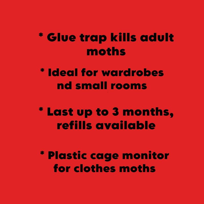 SuperGift.com 1pck Clothes moth Glue Trap - Effective Moth Protection ...