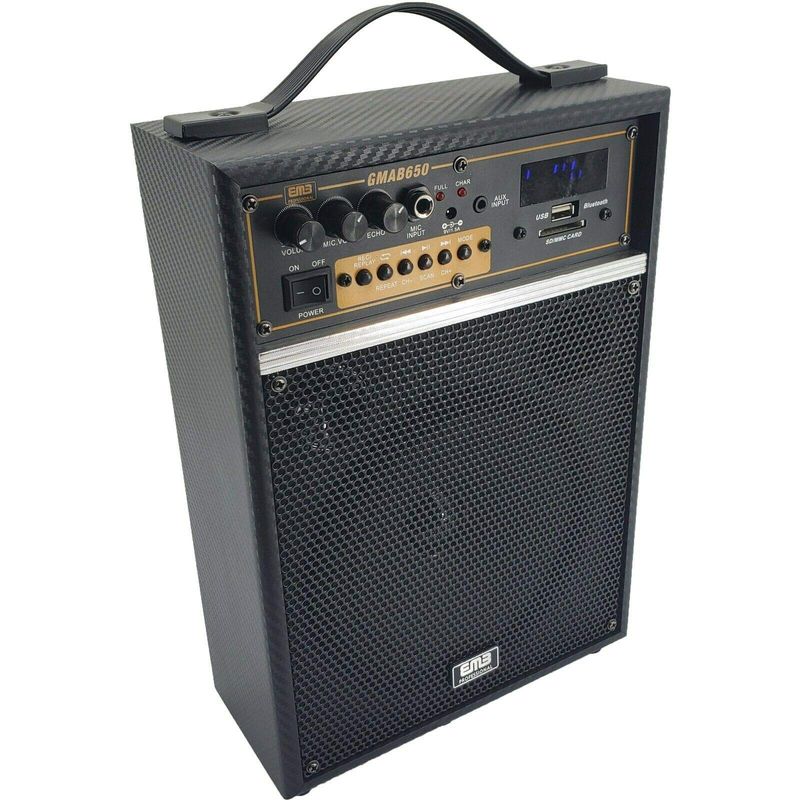 EMB 300 Watts Rechargeable Guitar Speaker Amplifier Combo with SD USB ...