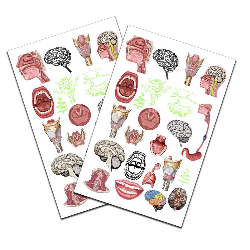 SLP anatomy body glow and color Temporary Tattoo set 2 pack - Online ...