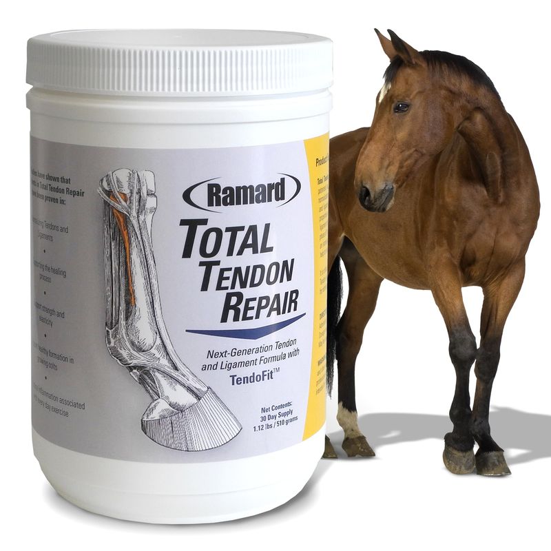 Ramard Total Tendon Repair –Advanced Powder Supplement with Vitamin C ...