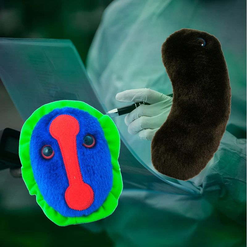 GIANTmicrobes Smallpox Plush, History Teacher Gifts, Gifts for History ...