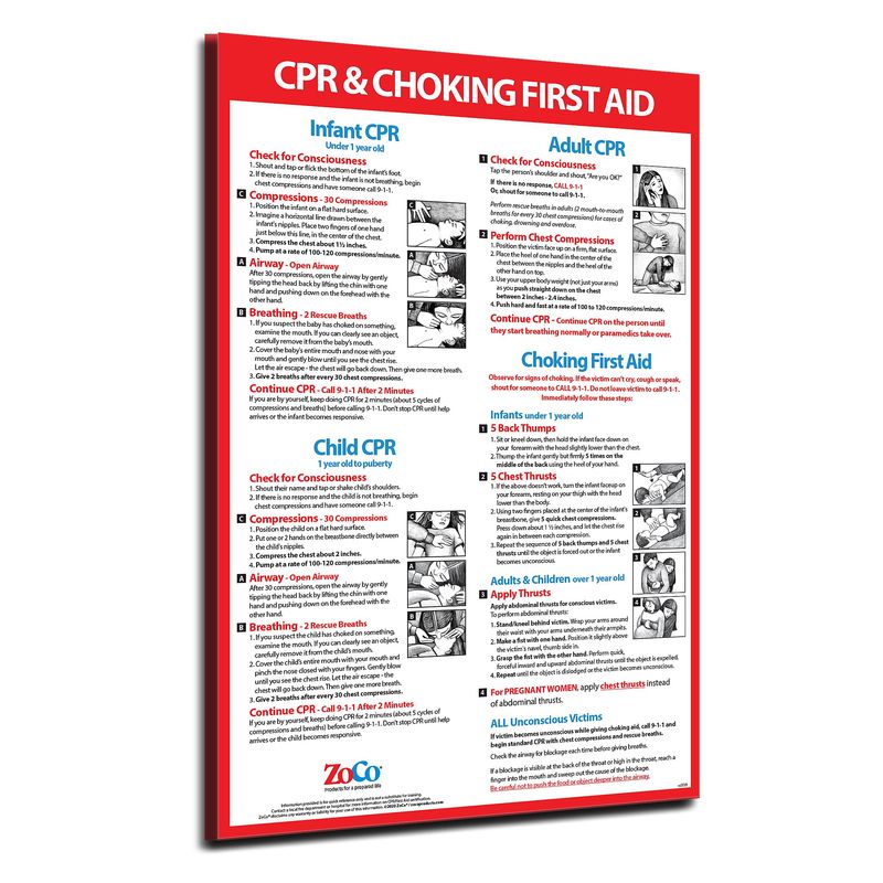 CPR and Choking Posters (10 Pack) for Infant, Child, Adult - Laminated ...