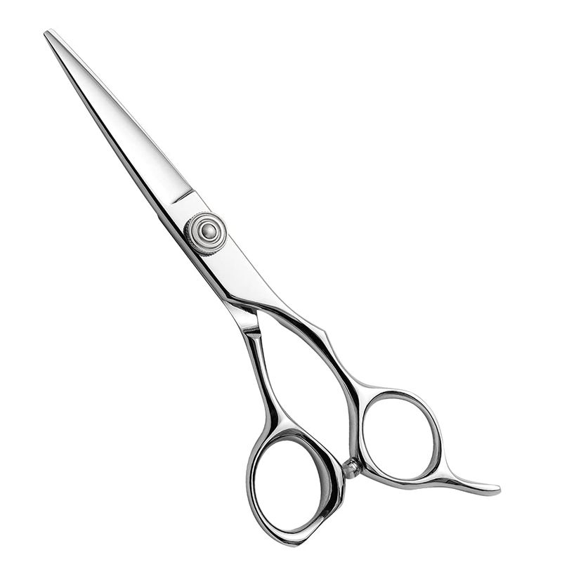 AOLANDUO 5.5 Inch Pro Hair Scissor -High End Aichi Steel Handmade Hair ...