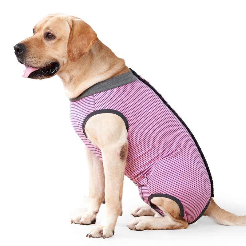 HEYWEAN Dog Recovery Suit Spay Suit for Female Dog Bodysuit After ...