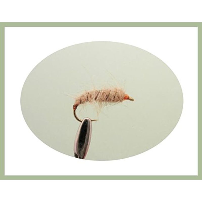 6 Pack of Killer Larva Bug, Trout Fishing Flies, Choice of Sizes (12/14 ...