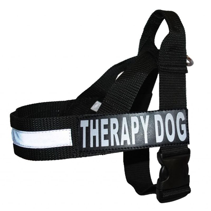 THERAPY DOG Nylon Service Dog Harness No Pull Guide Assistance comes ...
