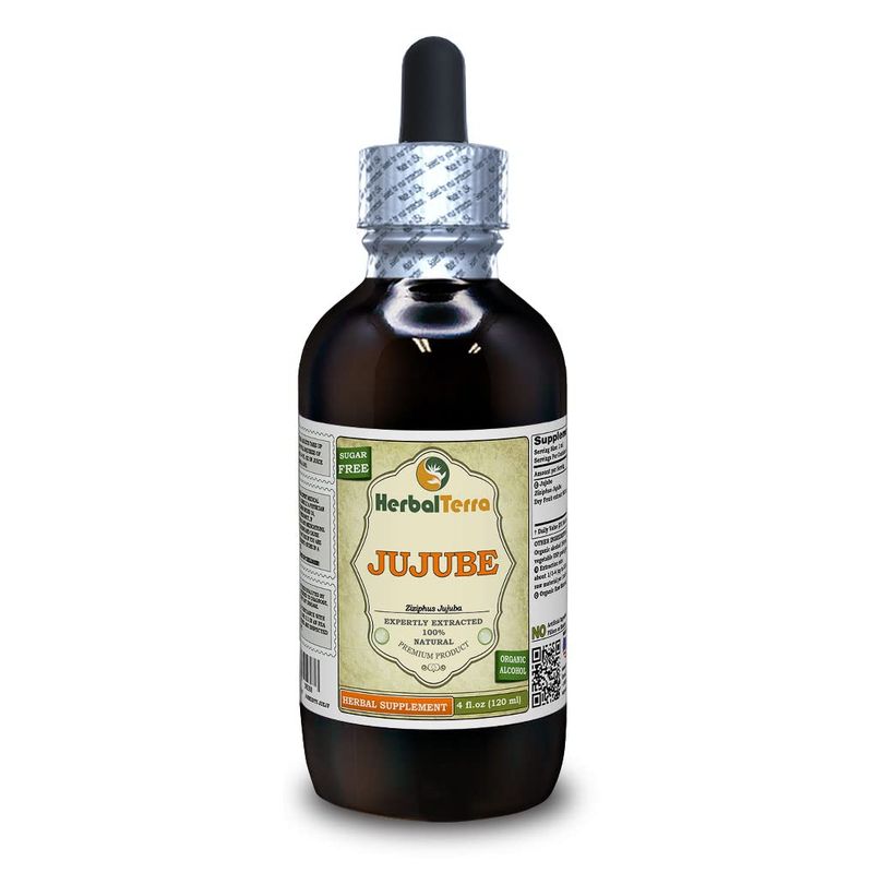 Jujube (Ziziphus Jujuba) Tincture, Organic Dried Fruits Liquid Extract ...