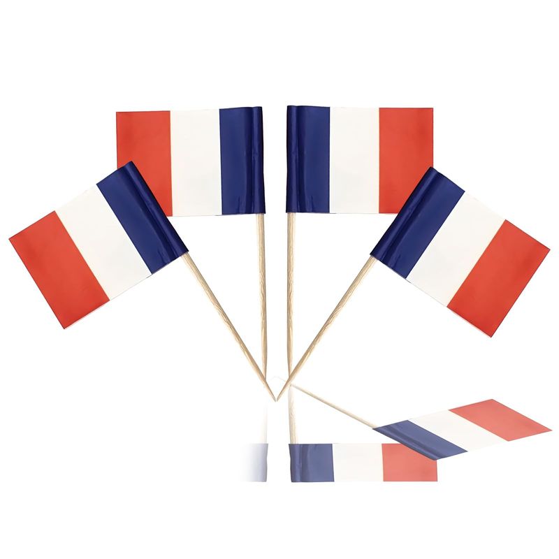 100Pcs Mini France Flags on Sticks, Toothpick Flags for Sandwich Cheese ...