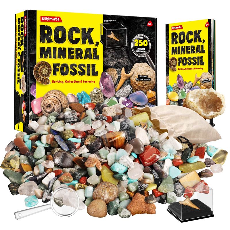 Rocks Minerals & Fossils Collection for Kids 250+ Real Gemstones and ...