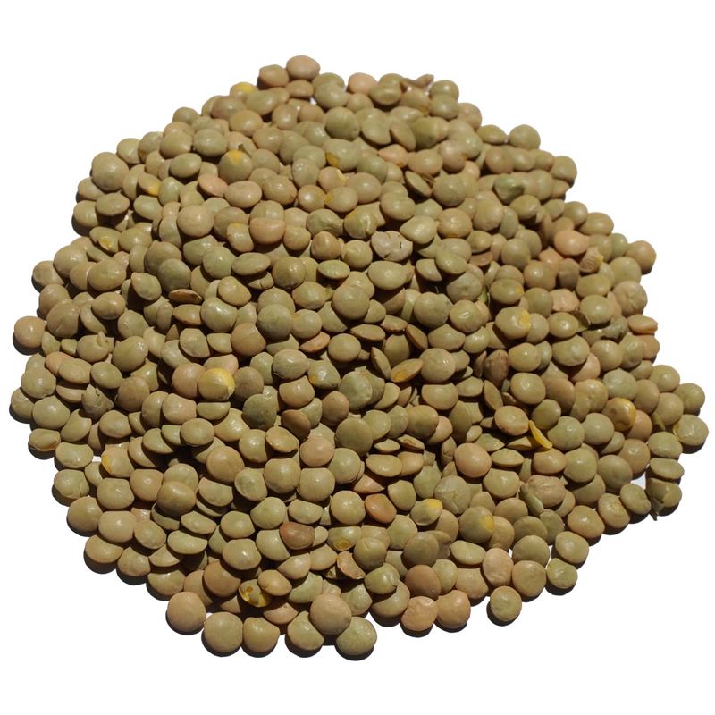 Brown Lentil Brown Lentil Lentil, Flatbeans, Lentils, Lentils, Skin ...