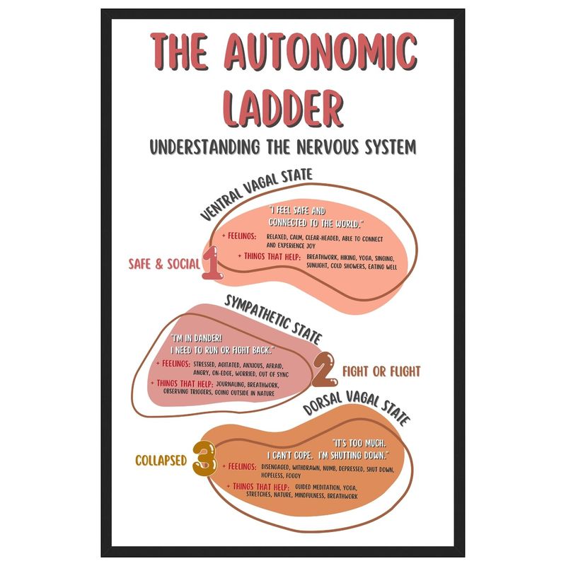 Autonomic Ladder Poster, Boho Mental Health Posters, Counseling Office ...