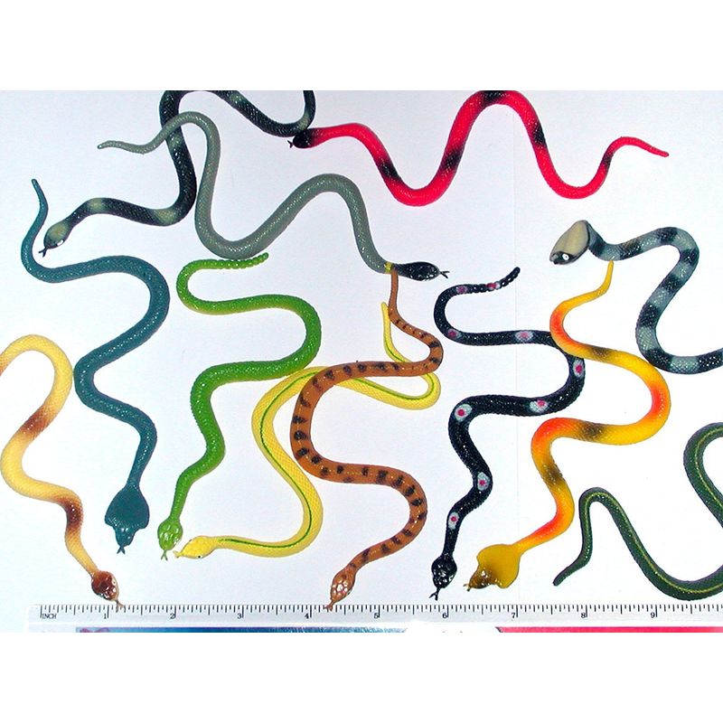Rhode Island Novelty 6 Inch Rain Forest Rubber Snakes Set of 12 ...