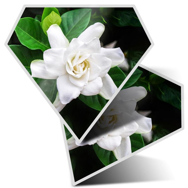 2 x Vinyl Stickers 7.5 cm - Diamond Shape White Gardenias Flower Art ...