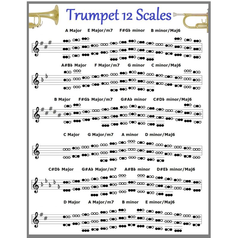 LEAD TRUMPET 12 SCALES CHART - Online Marketplace - EveryMarket
