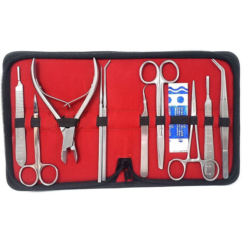 A2ZScilab-Ultimate Coral Fragging Propagation Kit for Reef Hobbyists ...