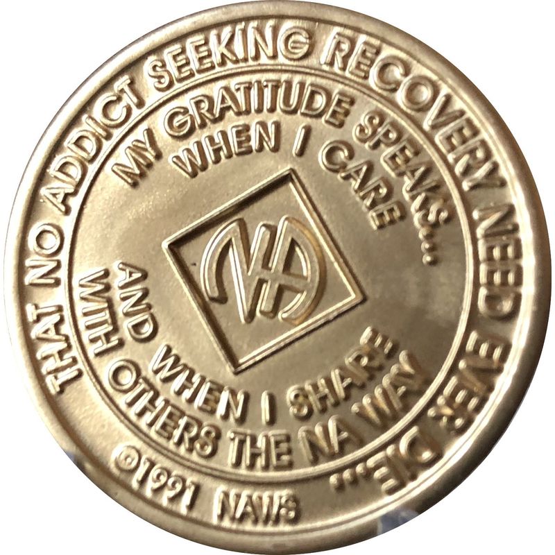 1 Year NA Medallion Official Narcotics Anonymous Bronze Chip - Online ...