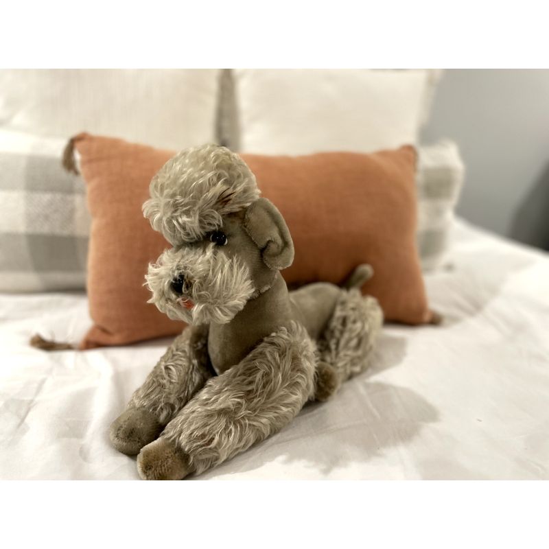 Vintage Steiff Large Snobby Grey Gray Poodle Dog Jointed Plush Stuffed ...