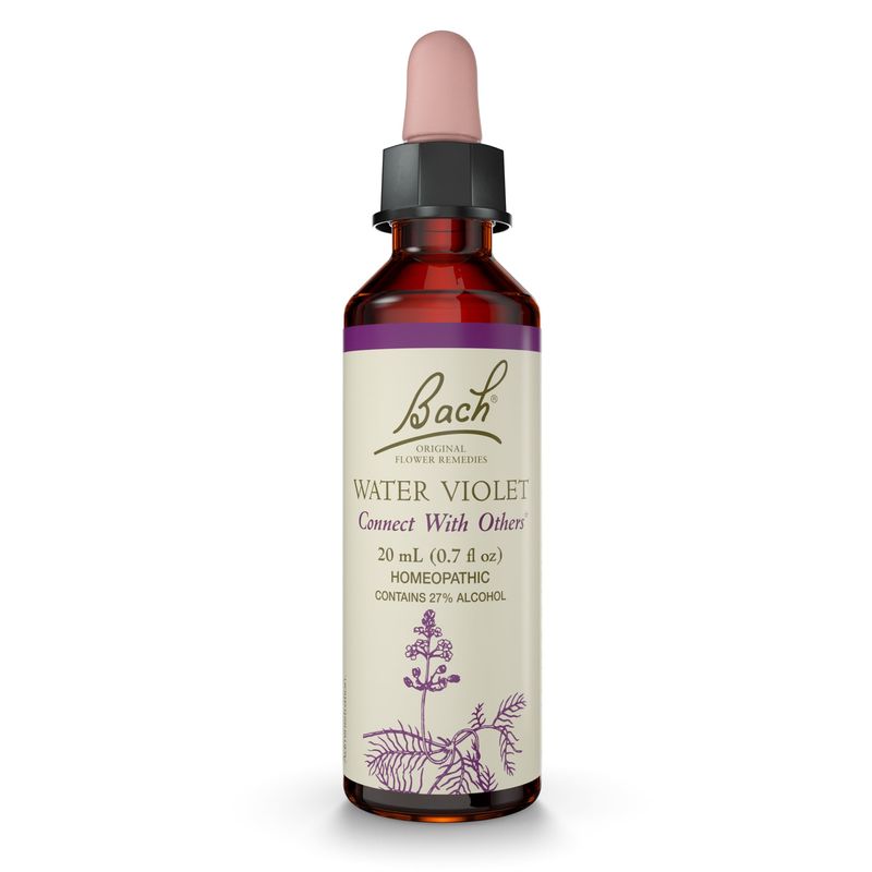 Bach Original Flower Remedies, Water Violet - Connect with Others ...
