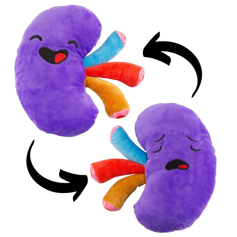 Attatoy Plush Kidney, Stuffed Body Organ Toy for Get Well Gift, Health ...