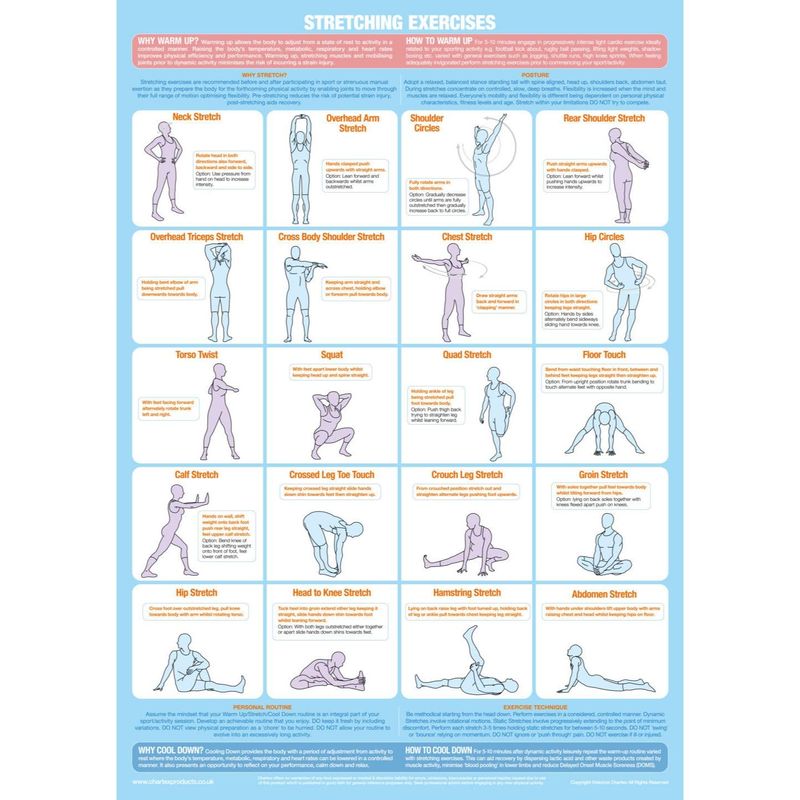 Exercise Poster Stretching Warm Up Cool Down Chart (A3 Laminated) - Online Marketplace - EveryMarket