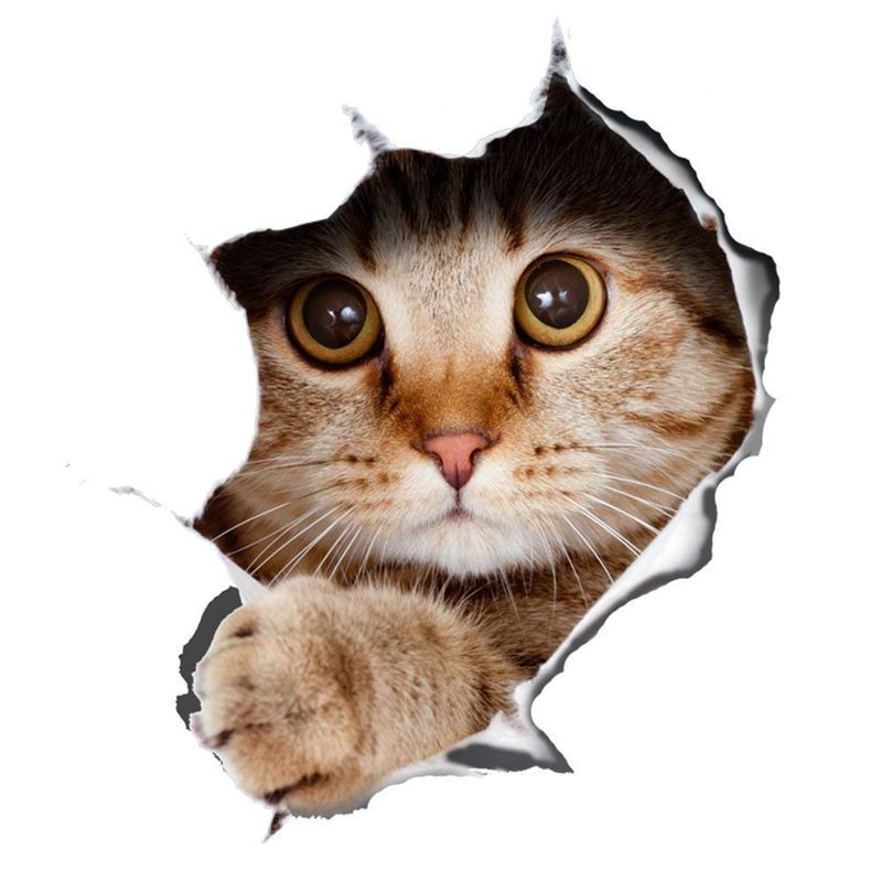 Winston & Bear 3D Cat Stickers 2 Pack - Peeking Cat Sticker for Wall ...