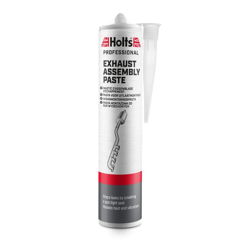 Holts LOYPRO29A Pro Cartridge Professional Exhaust Assembly Paste, 300 ml - Online Marketplace ...