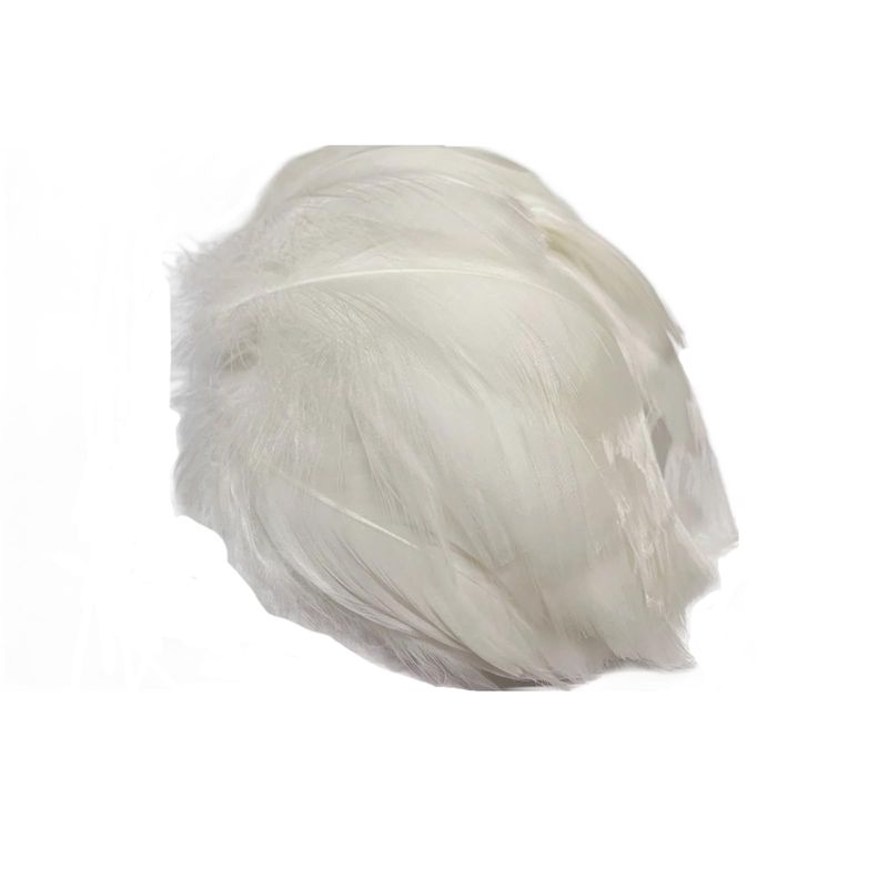 LIANRISES Pack of 600 White Feathers for Crafts Angel Wings White ...