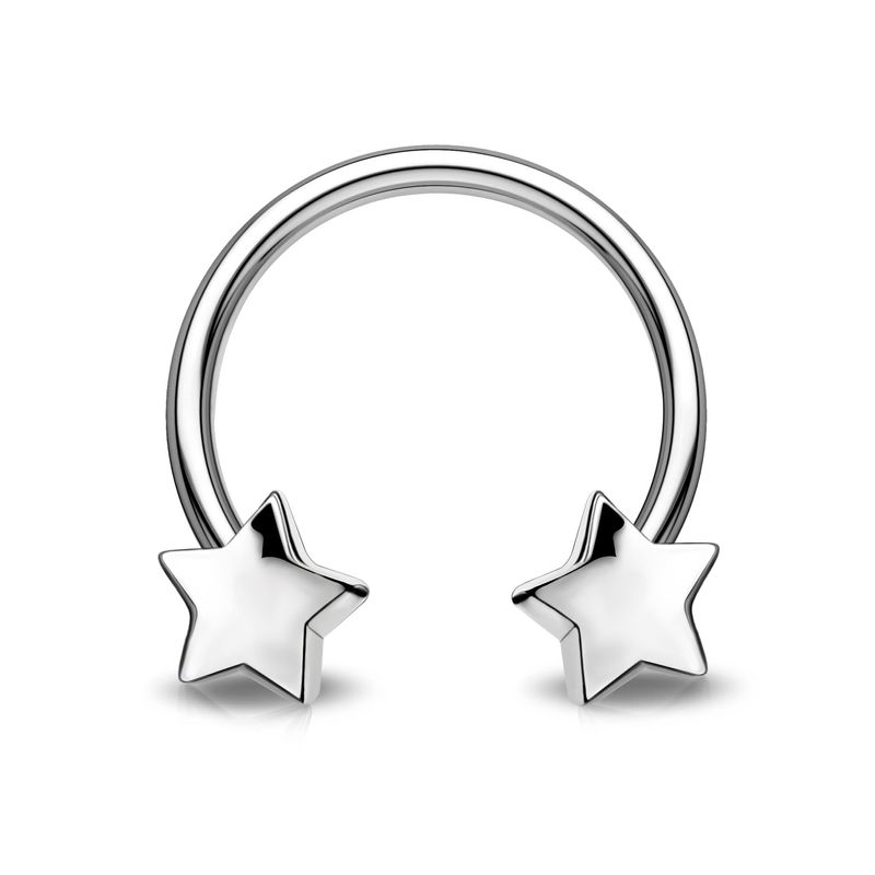 OUFER Body Piercing Helix Piercings Earrings Ring Hoop Bar 16G 316L ...