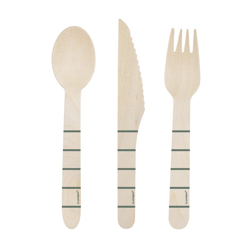 Unique 41055 Disposable Wooden Cutlery Set for 4-Botanical Stripe ...