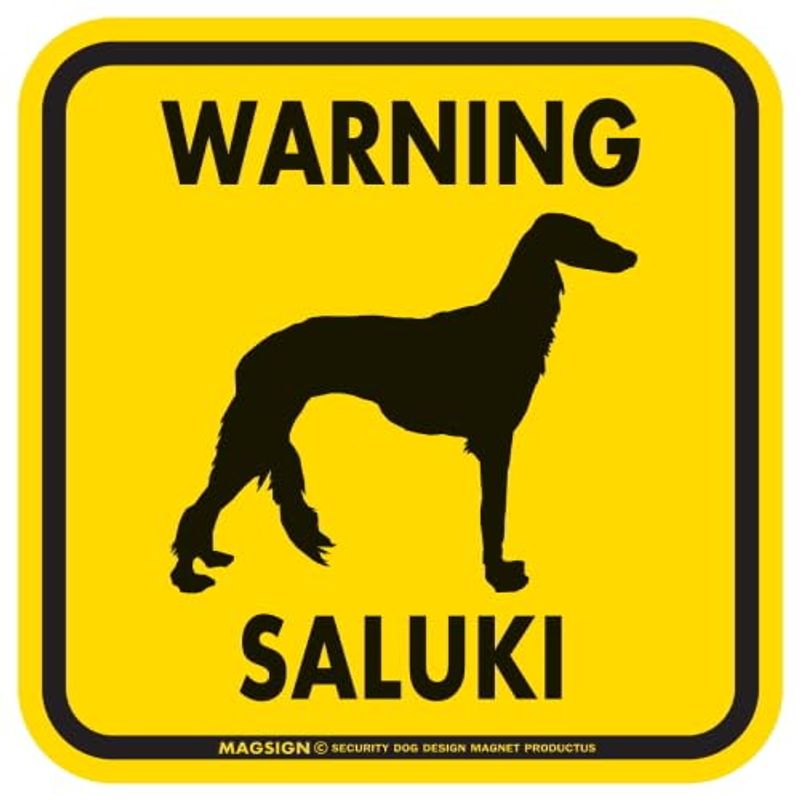[MAGSIGN] Dog Sticker/Bumper Sticker Saluki English/Note WARNING SALUKI ...