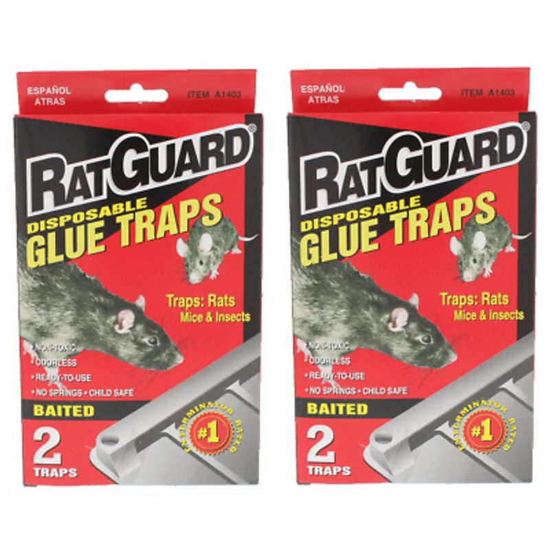 PestGuard 2 (2pk) Rat mice Glue Traps, Non-Toxic, Ready-to-Use Rat ...