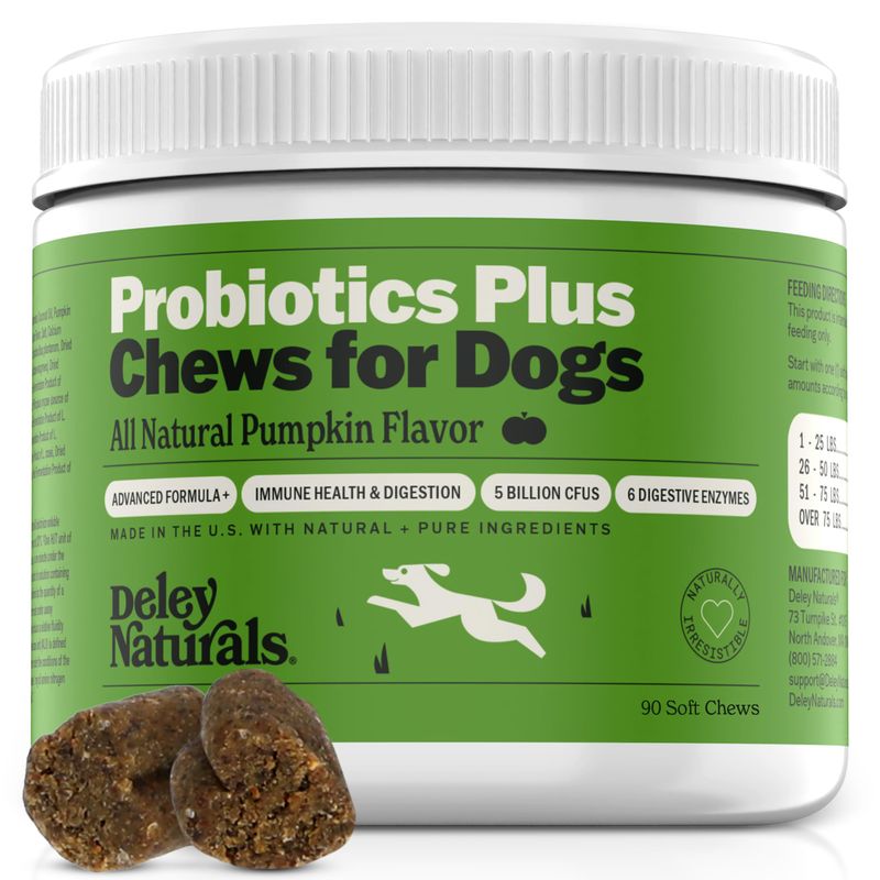 Deley Naturals Probiotics Plus Chews for Dogs, Gut Health Supplement, 5 ...