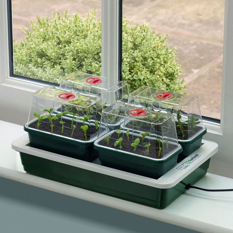 AMOS Fab 4 Heated Electric Propagator Windowsill Plant Seed with 4 ...