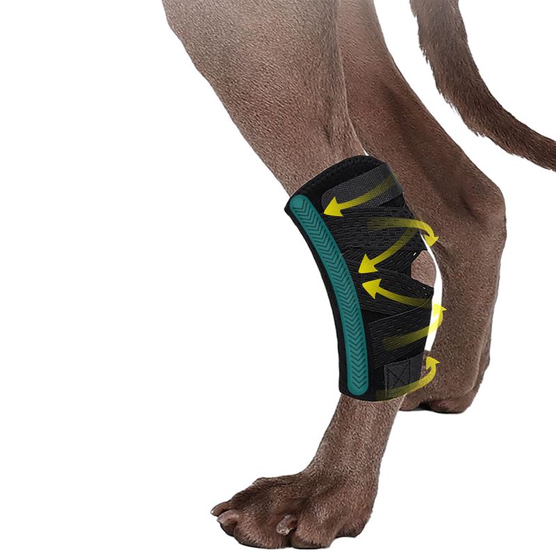MeiAOBest Dog Leg Wraps for Hind Leg, Dog Squat Joint Bandage with Two ...